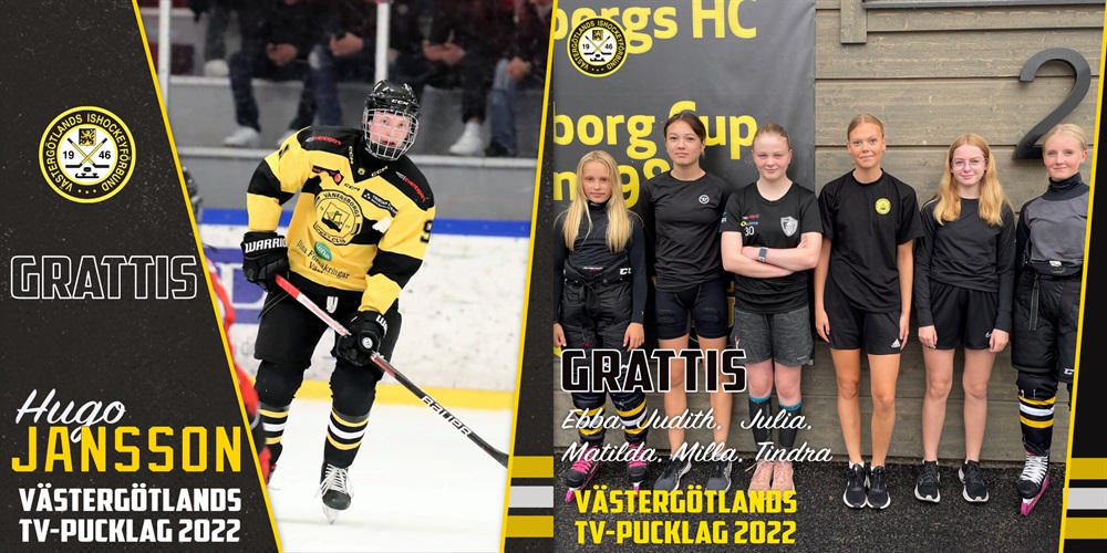 VHC - are i TV-Pucken 2022 / Vänersborgs HC - Svenskalag.se