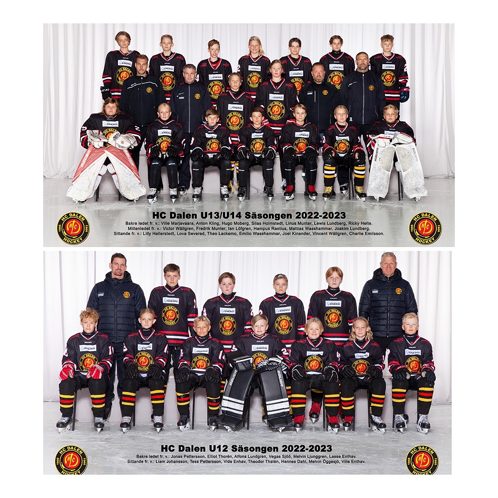 HC Dalen - B-Block (U13/U14) - Svenskalag.se