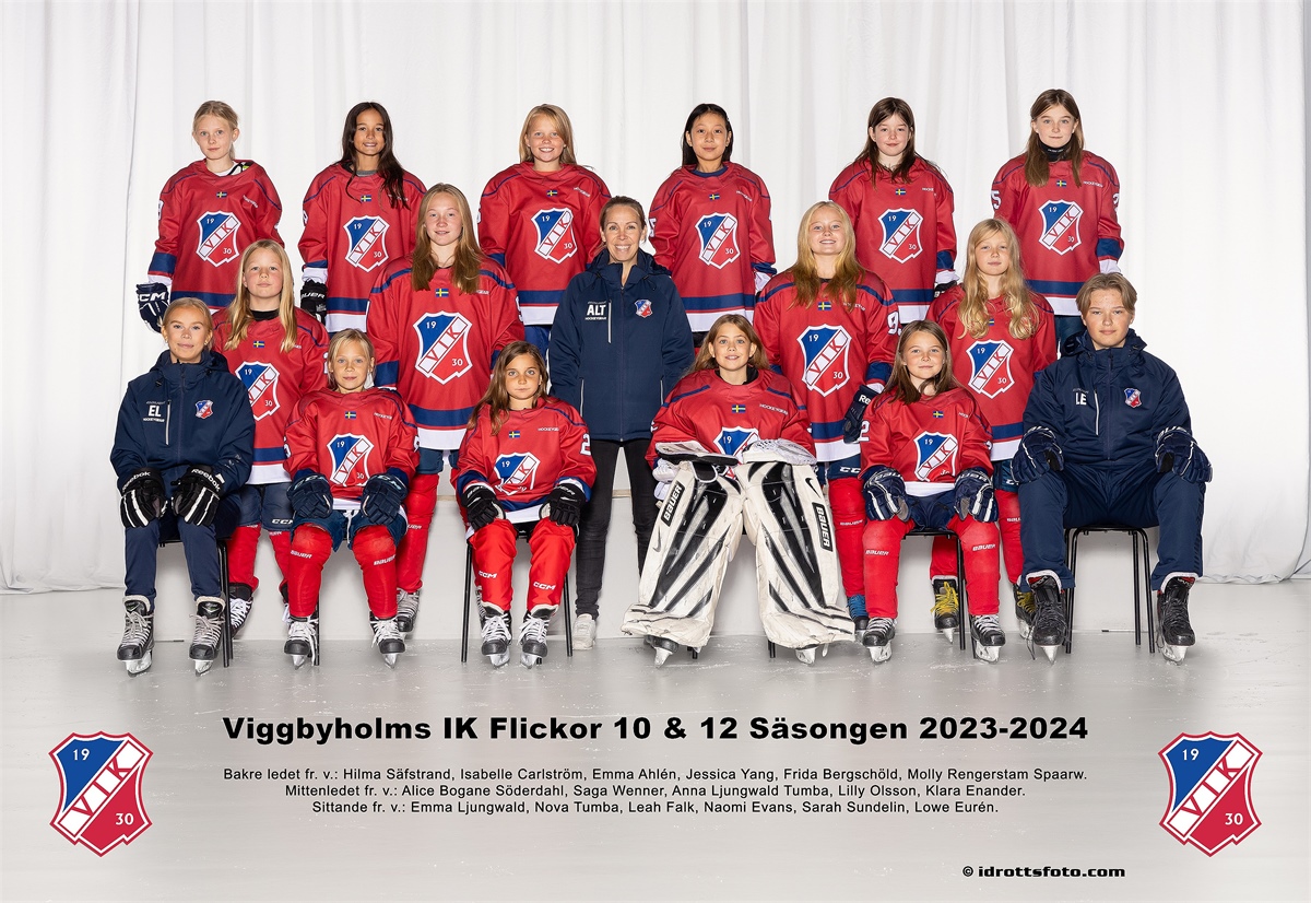 Truppen / Viggbyholms IK - Hockey - Flickor 12 - Svenskalag.se